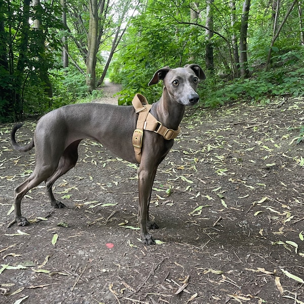 FLUFF || Fluffy Lining / Colour Change - Etsy