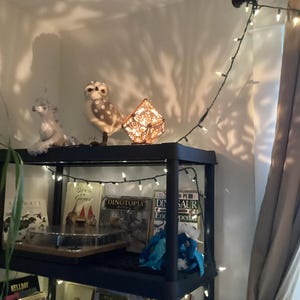 DarlingLighting - Etsy
