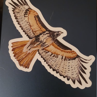 1x3 Red Tailed Hawk Sticker, Water Bottle Sticker, Waterproof, Vermont ...