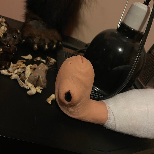 Forbidden Furb Hairless Furby Sculpture - Etsy