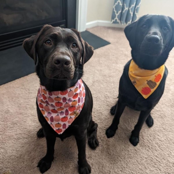 Fall Dog Bandana Fall Bandana Dog Gift Halloween Dog Bandana Pumpkin ...