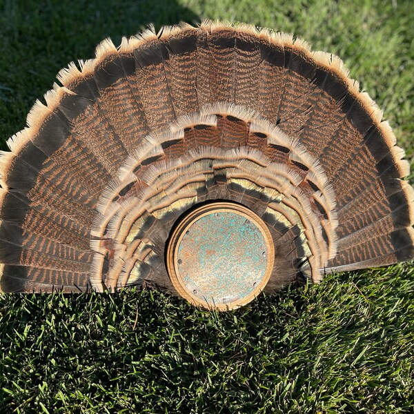 Turkey Fan Mount - Etsy