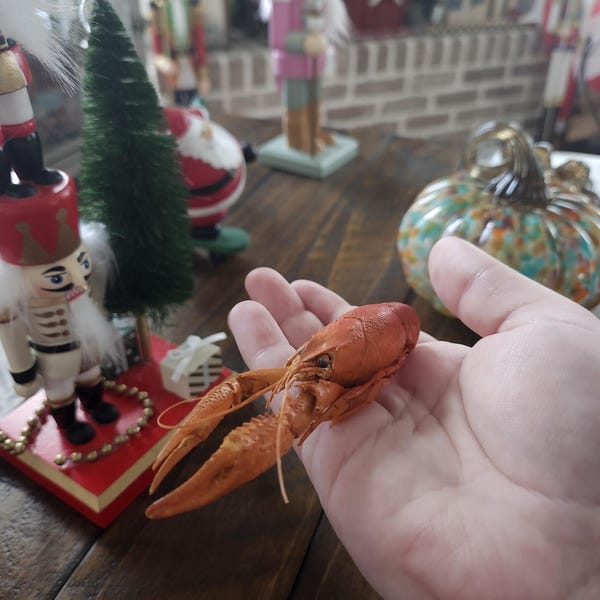 Yellow Perch Reproduction Fish Mount Taxidermy Cabin Decor - Etsy