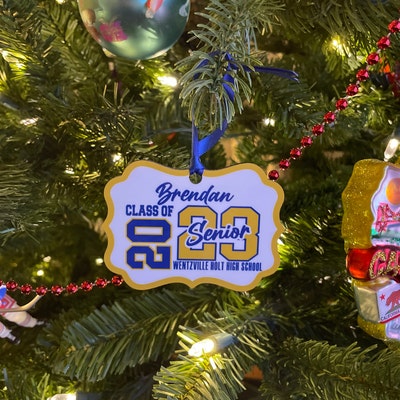 Senior Class of 2024 Personalized Ornament-gift for Teens-senior-class ...