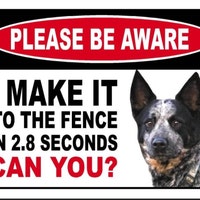 Blue Heeler Cattle Dog Sign - Etsy Australia