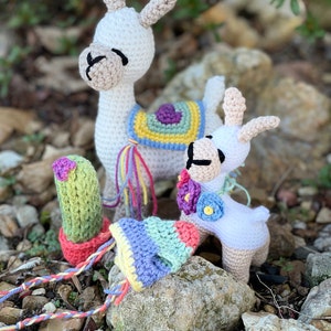 PDF Only Wyborn Lovat wybie Crochet Pattern | Etsy