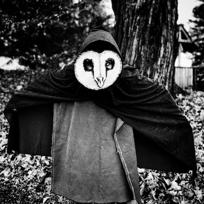 Barn Owl Masks, Adult Owl Halloween Costume, Props for Masquerade ...