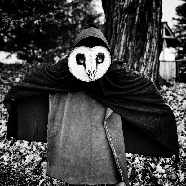 Barn Owl Masks, Adult Owl Halloween Costume, Props for Masquerade ...