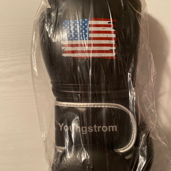 Athllete Boxing Training Set, Boxing Gloves and Punching Mitts Set ...