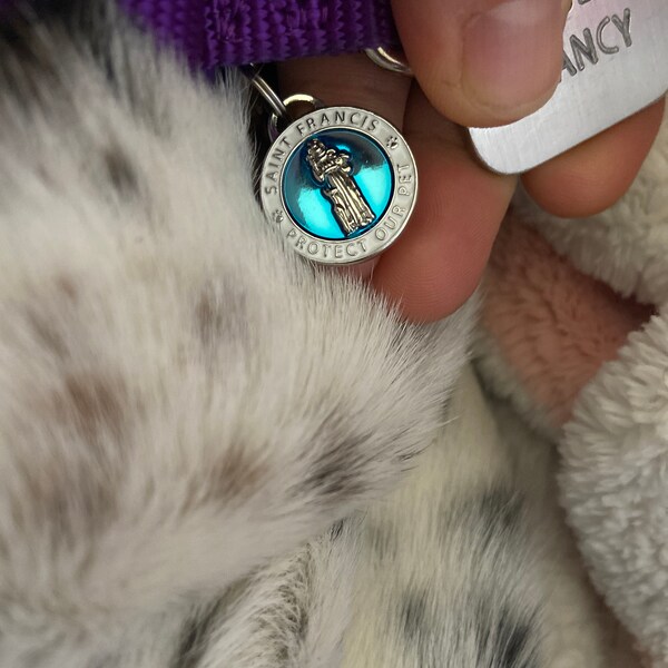 Guardian Angel Pet Tag in Gold Finish - Guardian Angel - Dog Tag - Pet ...