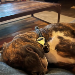 Dog Tag Lifetime Warranty Dog ID Tag Pet Tag Dog Tags Custom stainless ...