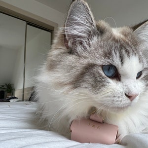 Personalised Dog Proposal Engagement Ring Pouch Pet Proposal Idea ...