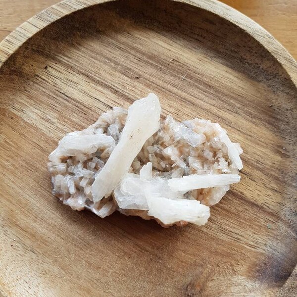 Rare Vintage Goebel Dog With Kennel Salt & Pepper Set, Cruet Set. - Etsy UK