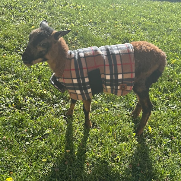 LAMB GOAT DOG Coats Jackets Fleeces Quality Double Fleece or Waterproof ...
