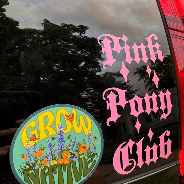 Good Luck Babe | Decal| Sticker | Chappell Roan Inspired | Midwest ...