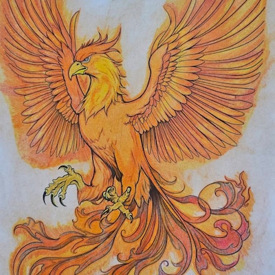 Cute Baby Sea Turtle Coloring Book, 21 Detail Greyscale Adult & Kids ...