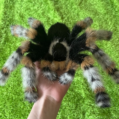 Realistic Tarantula Spider Poseable Shelf Decor Wall Mountable Faux ...