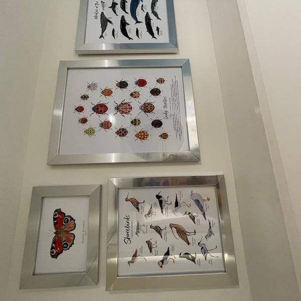 Shorebirds Wall Decor | Watercolor Print | Natural Nursery Wall Art ...