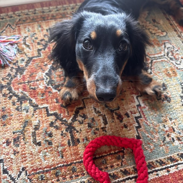 DH Designer Brand Logo Tournament Golf Ball - Display Box 1 Ball or ...