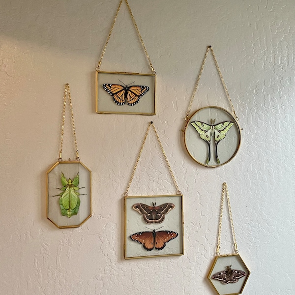 Paper Moth Decorations, Faux Cecropia and Emperor Moth Set, 'autumn ...