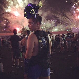 8.5 Dory finding Nemo Iron on Rhinestone Transfer Applique Patch - Etsy