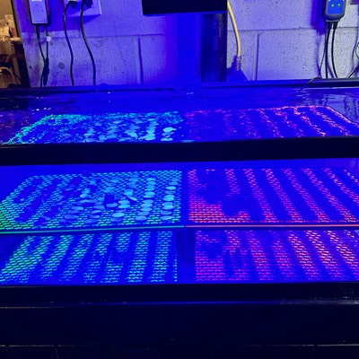 3 Tier Honeycomb Frag Rack System for 20g Long Aquarium Free Standing ...