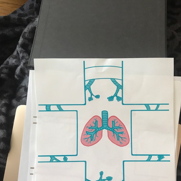 Pathophysiology Note Taking Template Multi Color - Etsy