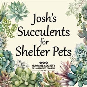 Art Nouveau Tile Clipart Bundle, 10 Ceramic Tile Cloip Art Deco Digital ...