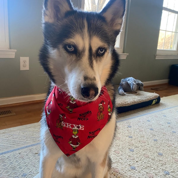 Medical EMS Dog Bandana Personalized, Ambulance Paramedics Over the Dog ...