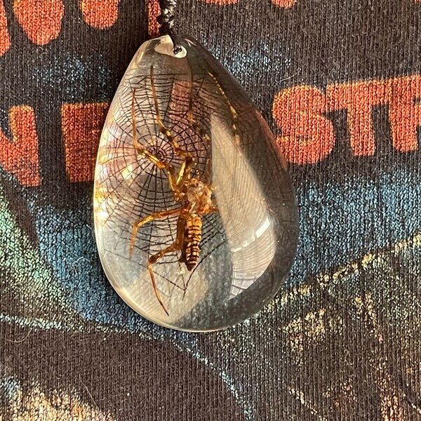REAL Orb Weaver Teardrop Spider on Real Preserved Spider Web Necklace ...