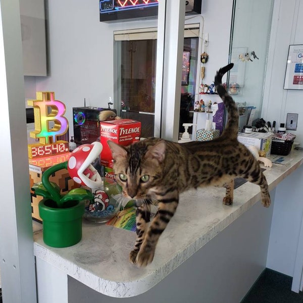 Crypto Ticker Bitcoin Matrix Display Wi-fi - Etsy