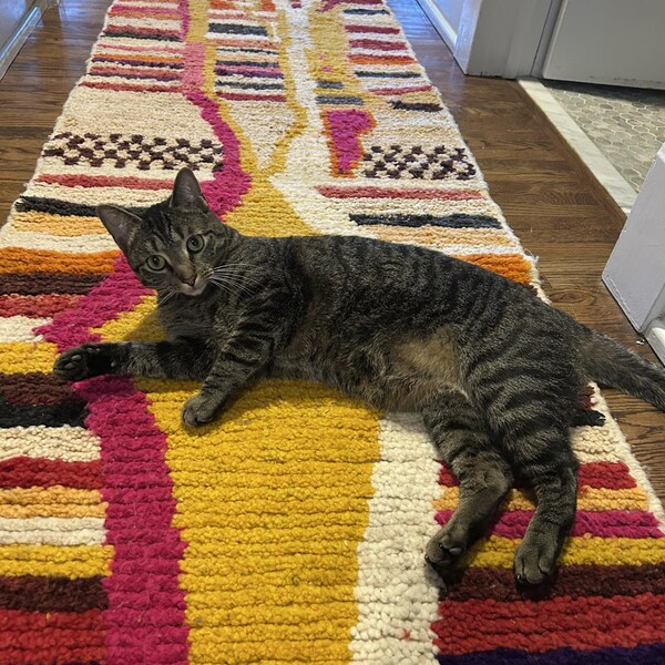 Fine Moroccan Green Rug, Colorful Boujaad Rug, Handmade Rug, All Wool ...