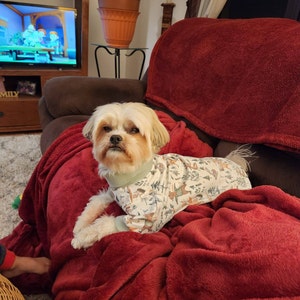 Kati Lou Dog Dress and Dog Blouse Sewing Pattern 1551 Dog - Etsy