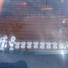 TOTOMO 10pc Family Sticker Decal for Car Window & Bumper, Pet Dog Cat ...