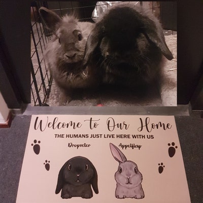 Welcome to the Rabbit House Doormat Bunny Welcome Doormat - Etsy