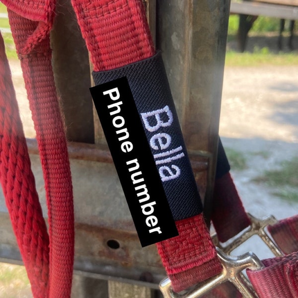 2 Lines Embroidered Horse Halter Name Tag - Etsy