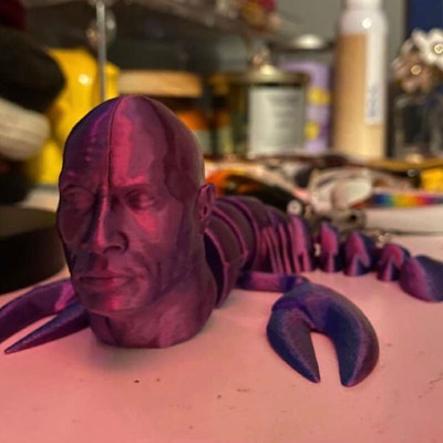 Lobster Rock Lobster 3d Printed Fidget Toy Rocktopus the Rock Dwayne ...