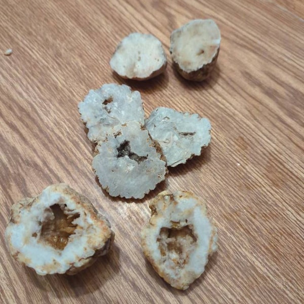 8lbs of Carthage TN Unopened Geodes/agates/nodules Lapidary Break or ...