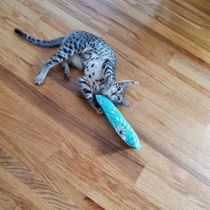 20 Ct Mini Matatabi Cat Chew Sticks All Natural Catnip - Etsy