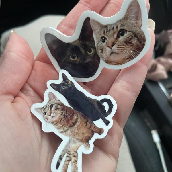 Custom Pet Pin | Personalized Dog Acrylic Brooch | Custom Cat Photo ...