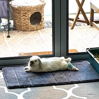 Digital Download Plans for Luxury Bunny Cubby Free Roam Bunnies Cat ...