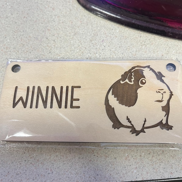 Guinea Pig Name Sign, Guinea Pig Name Tag, Guinea Pig Cage Sign, Guinea ...