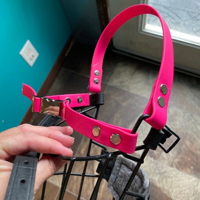 Standard 3/4 Beta Biothane, Webbing Strap, by the Foot, the Vegan ...