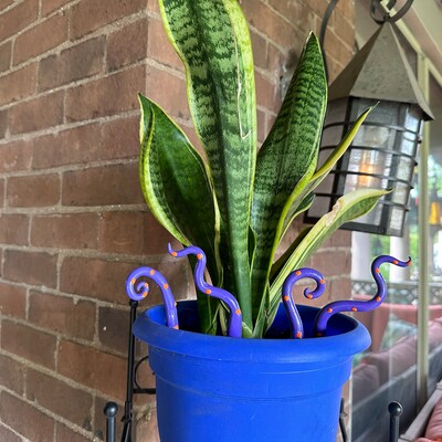 Eye Art Sculpture Garden Stake Eye Doctor Gift Potted Plant - Etsy