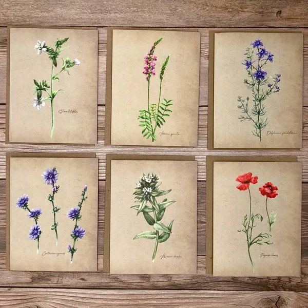 Watercolor Vintage Botanical Floral Wildflower Notecards - 12 Card Gift ...