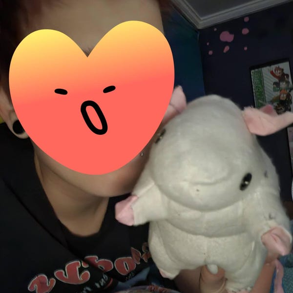 Rat Plushie Sewing Pattern Photo Tutorial, Mouse Stuffed Animal PDF ...