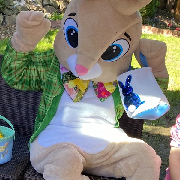 Doner Kebab Mascot Costume, Adult Mascot Costume, Party Mascot Costume ...