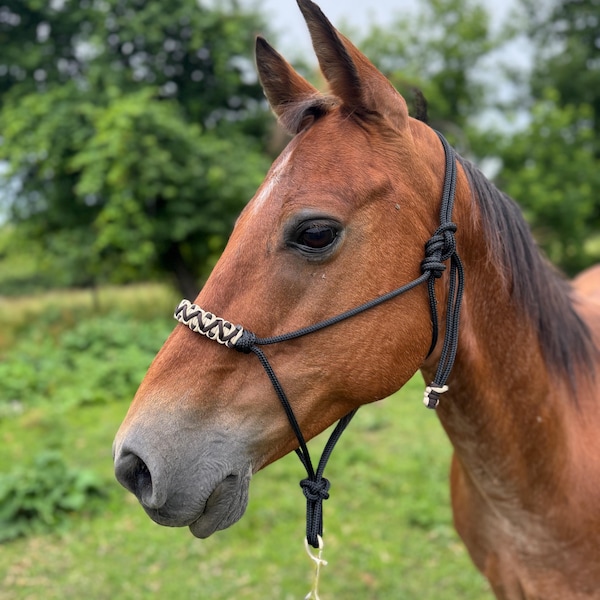 Custom Halter and Mecate Rein Set, Custom Mecate Reins, Mecate Training ...