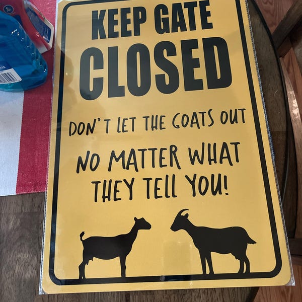 Fennec Fox Sign Funny Fennec Fox Sign Fennec Fox Accessories Fennec Fox ...