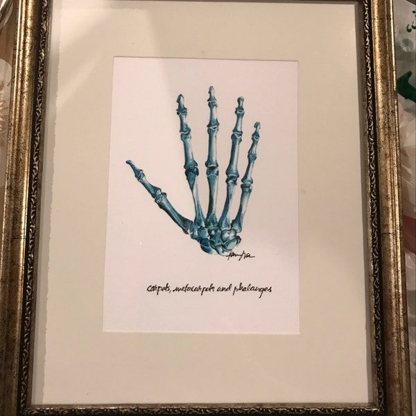 Bones of the Hand Anatomy Painting Print - Carpal Metacarpal and ...